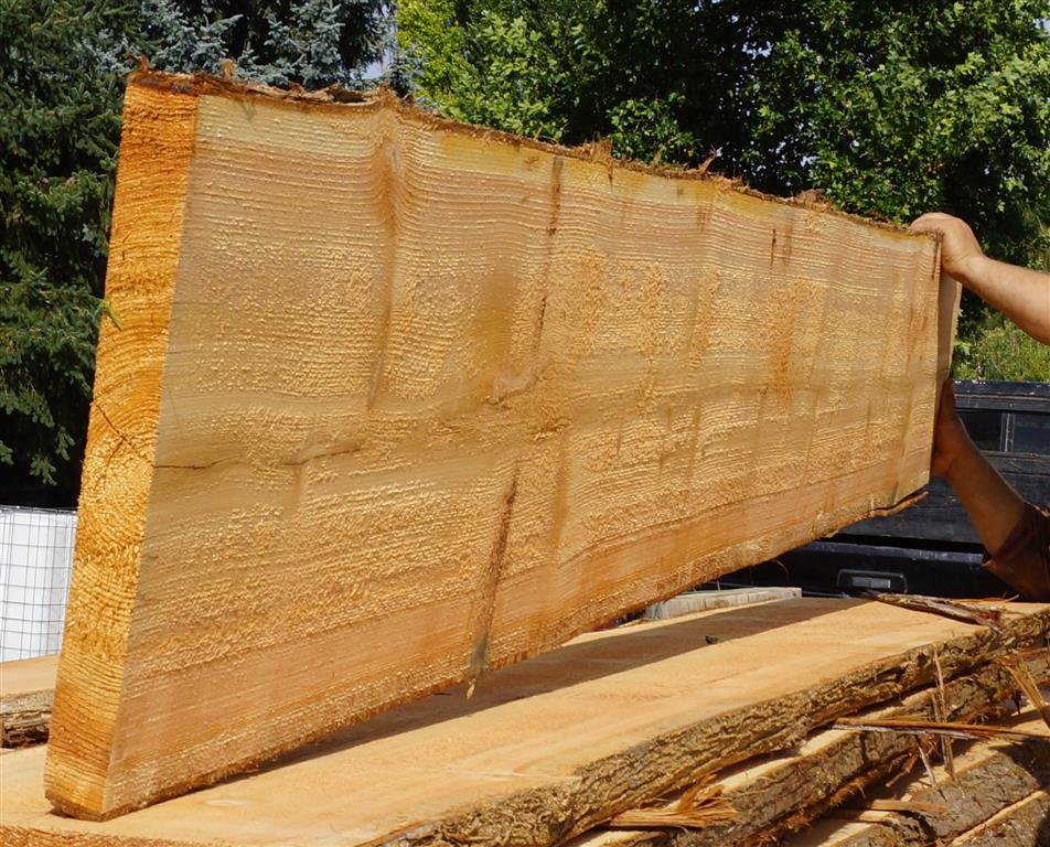 Large Cedar Slab